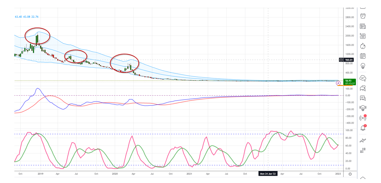 Disciplined Growth Investors: Path to Maximum Gains